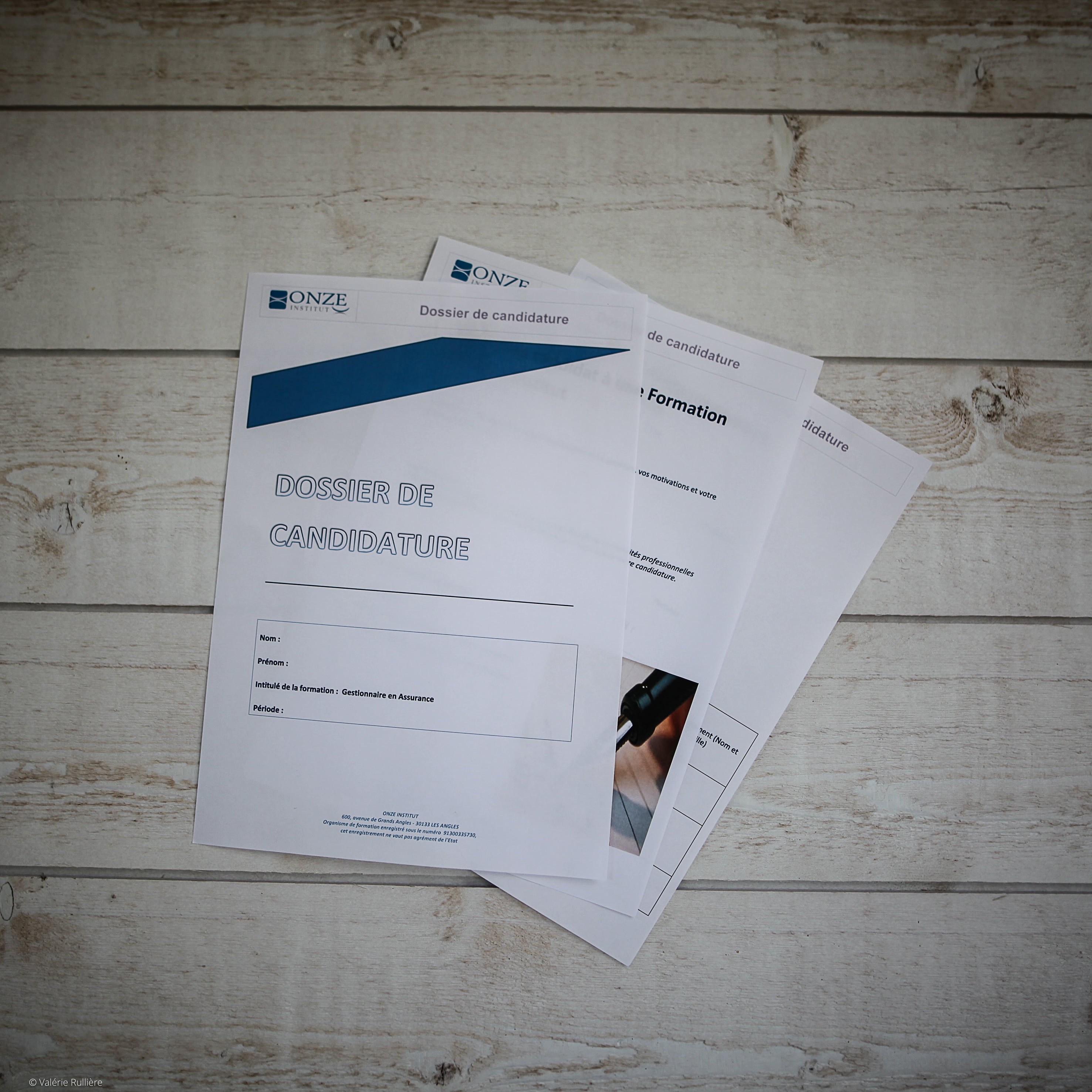 Dossier de candidature Gestionnaire Assurance - Onze Institut